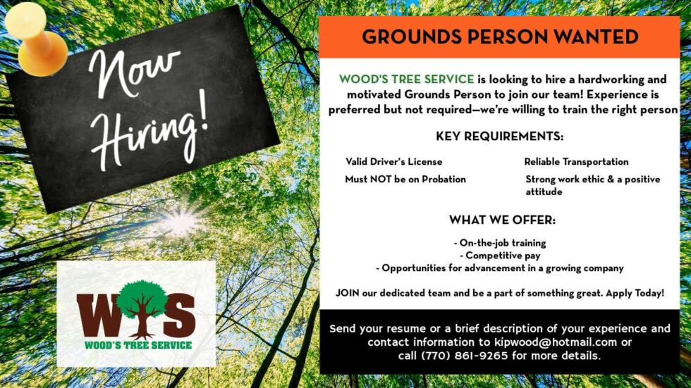 Tree Service - Emergency Tree Service - Woods Tree Service